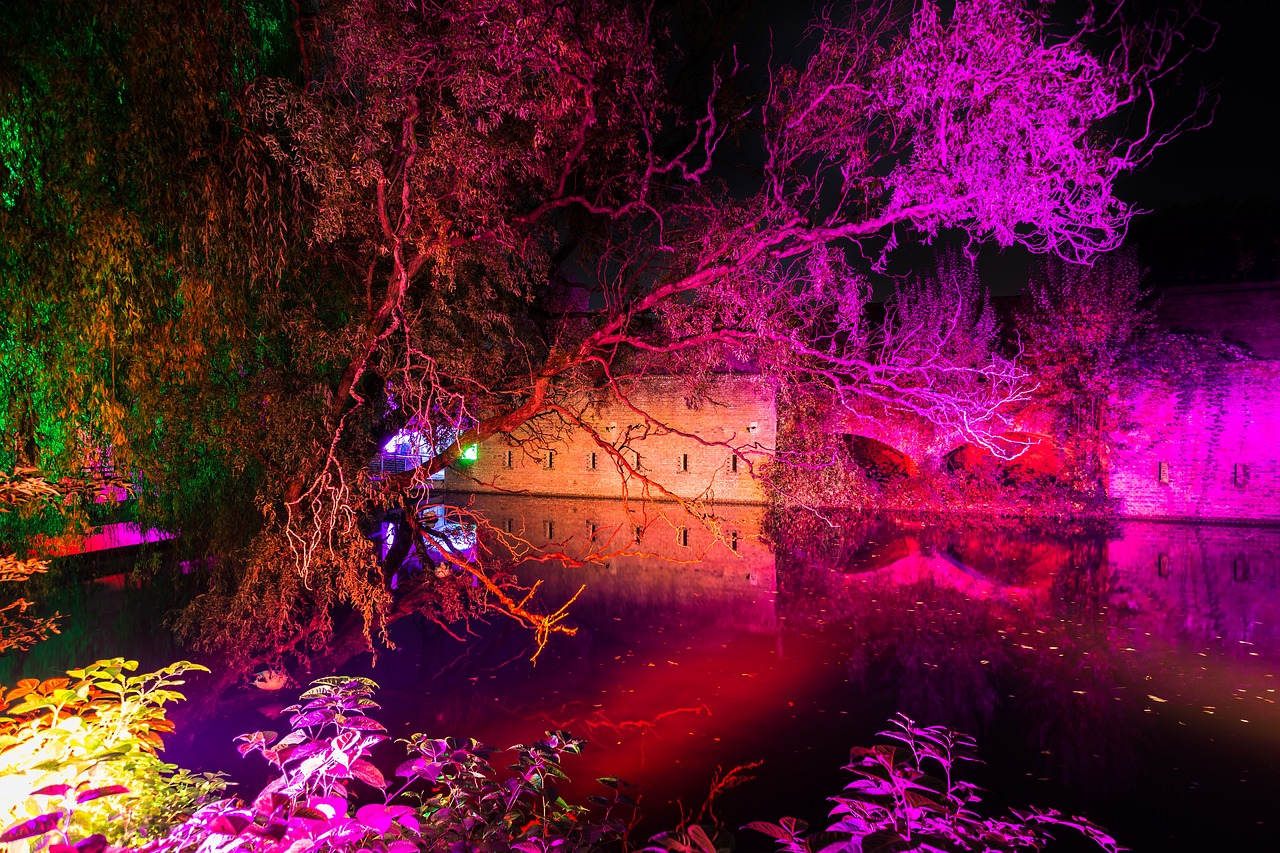 Backyard & Landscape LEDs - All Pro Led Installation